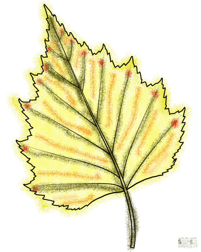 SEU – Puslapis 5 – korsigita